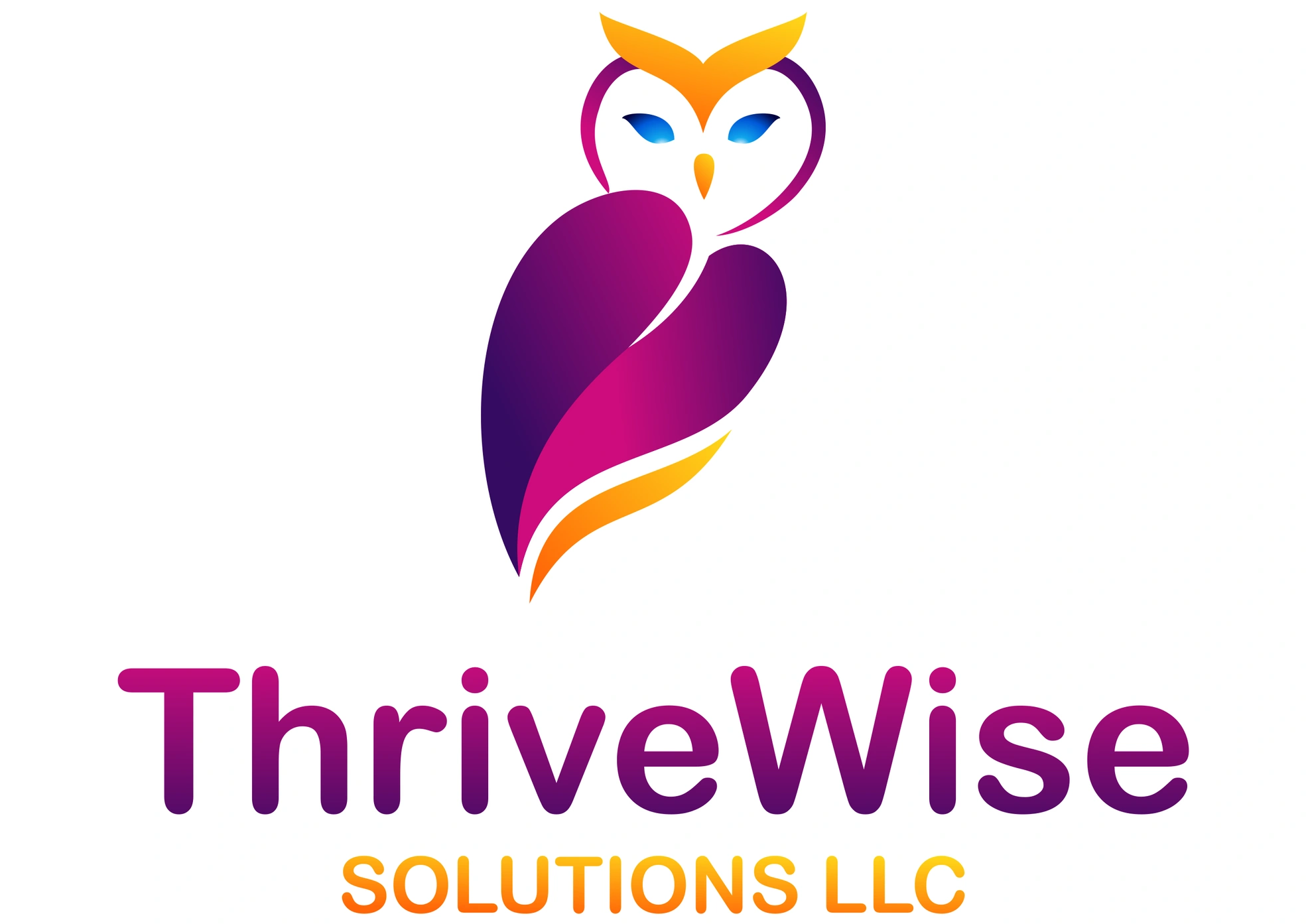 THRIVEWISE SOLUTIONS LLC
